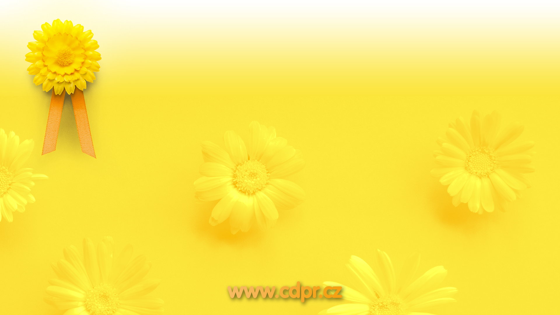 E-KYTIČKA | ČESKÝ DEN PROTI RAKOVINĚ